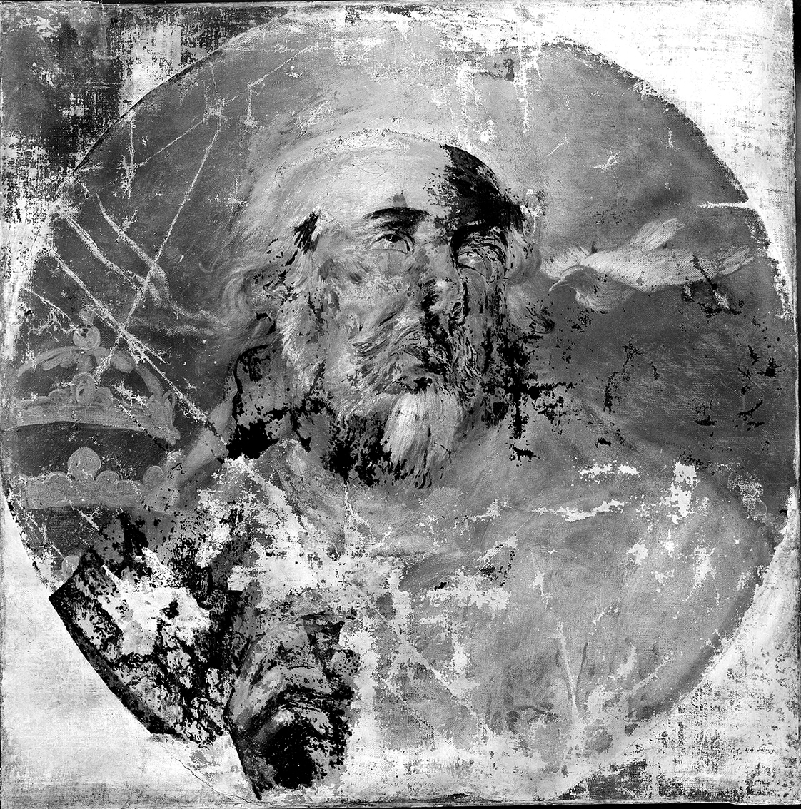 Alejandro Guijarro - The Learned Pig